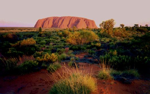 Travel Tales - The Red Centre.